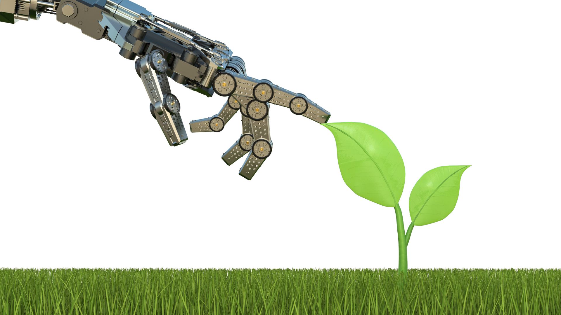 Cosa sono i Vini Piwi: tutto sui vitigni resistenti | Callmewine