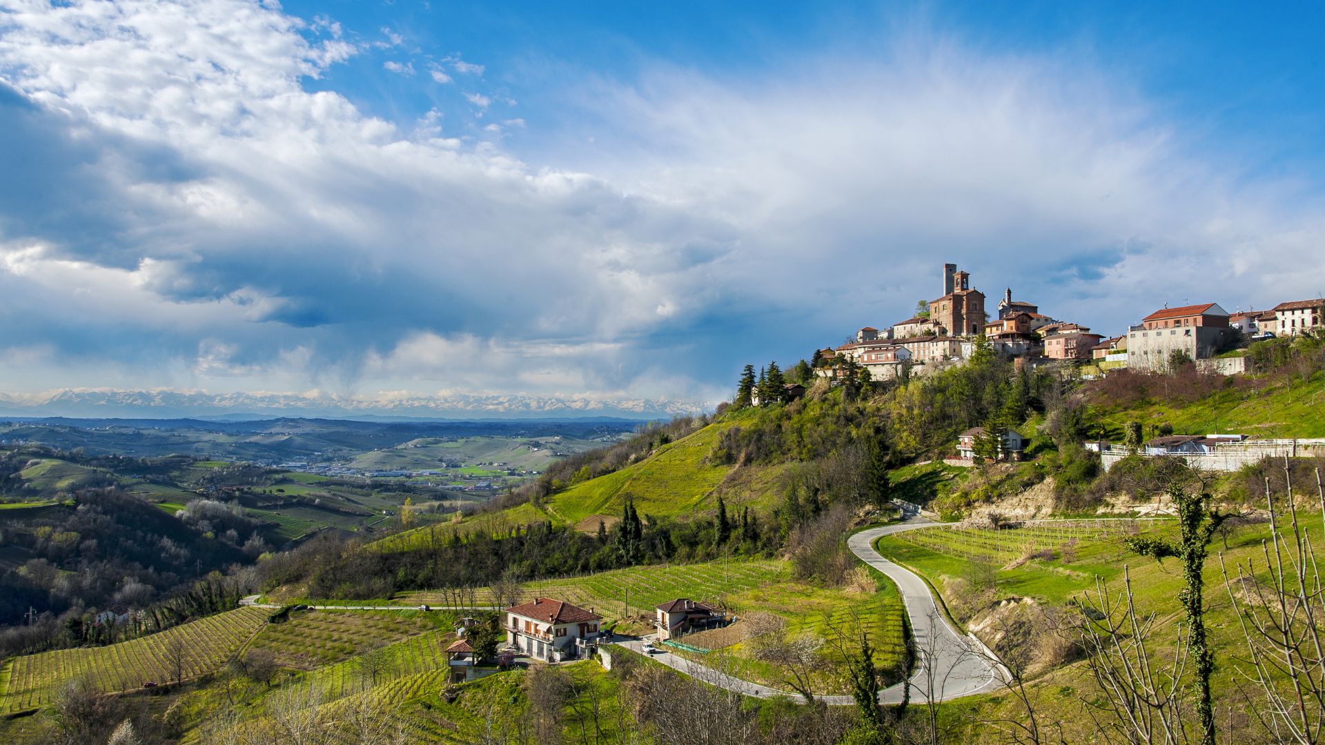 Le Cantine del Barolo: tra tradizione e innovazione | Callmewine
