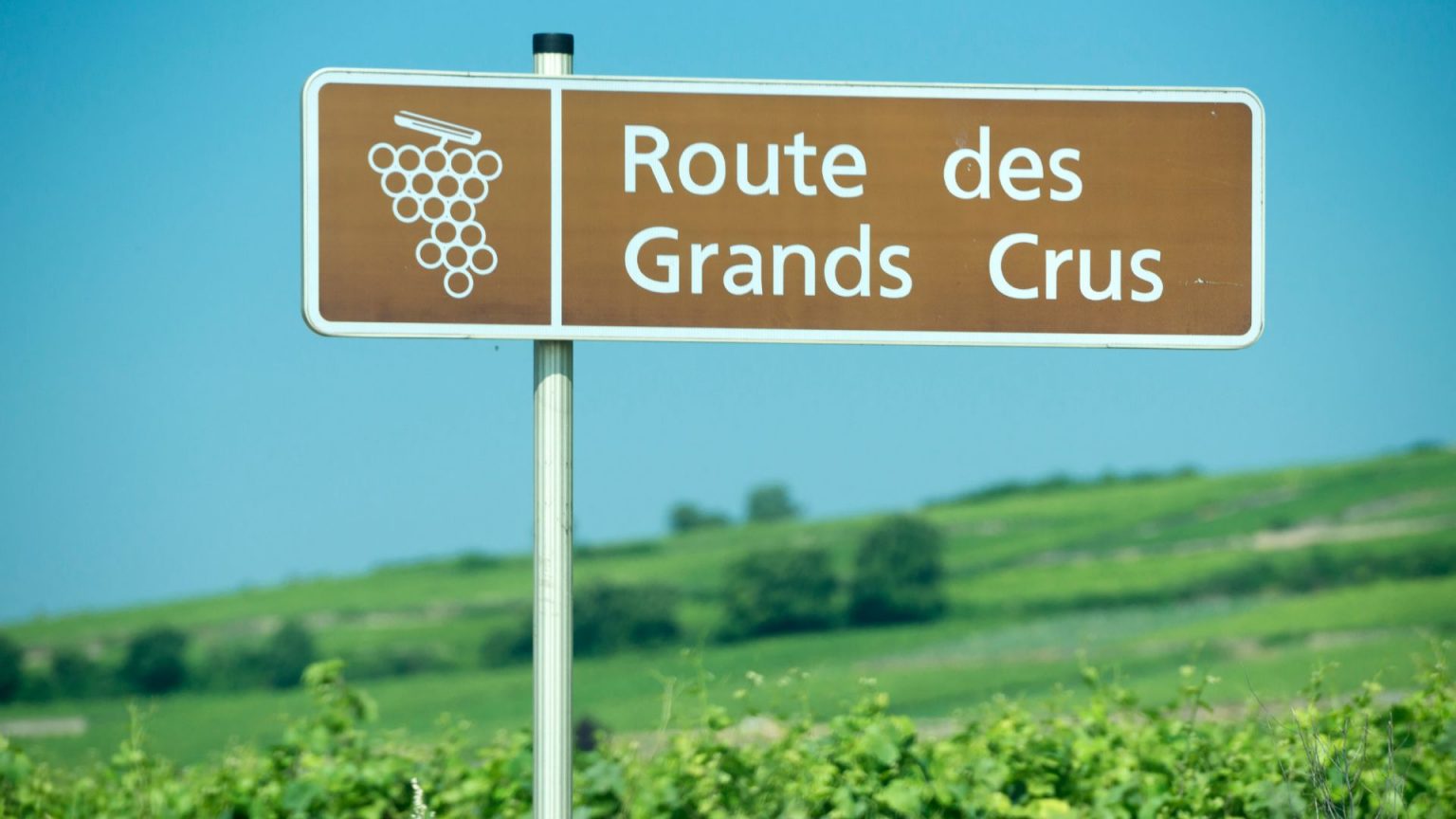 Grand Cru e Premier Cru: significato e differenze | Callmewine
