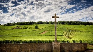 Grand Cru e Premier Cru: significato e differenze | Callmewine