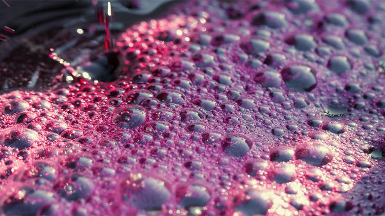 Mosto d’uva: cos’è e come si ottiene il mosto cotto | Callmewine