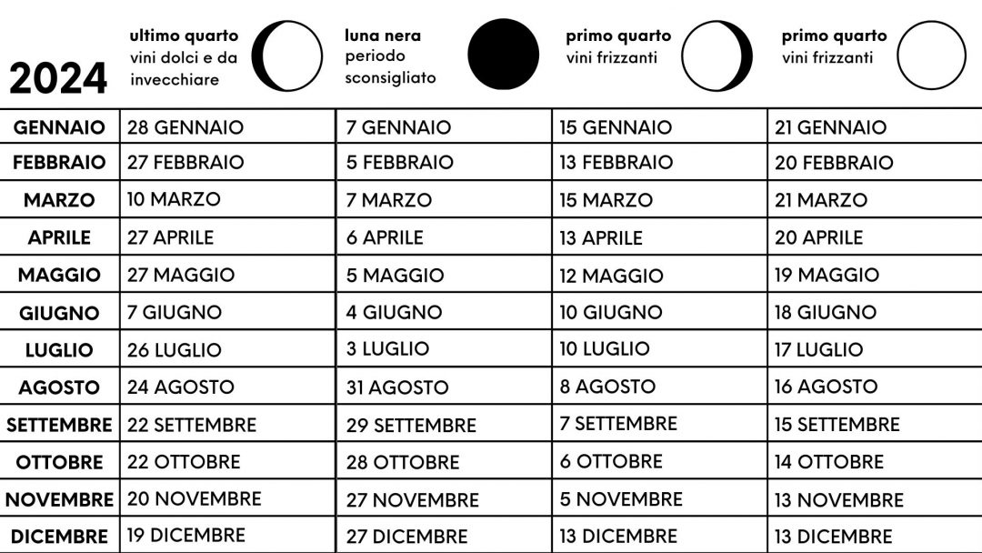 Imbottigliamento del vino: calendario e passaggi | Callmewine